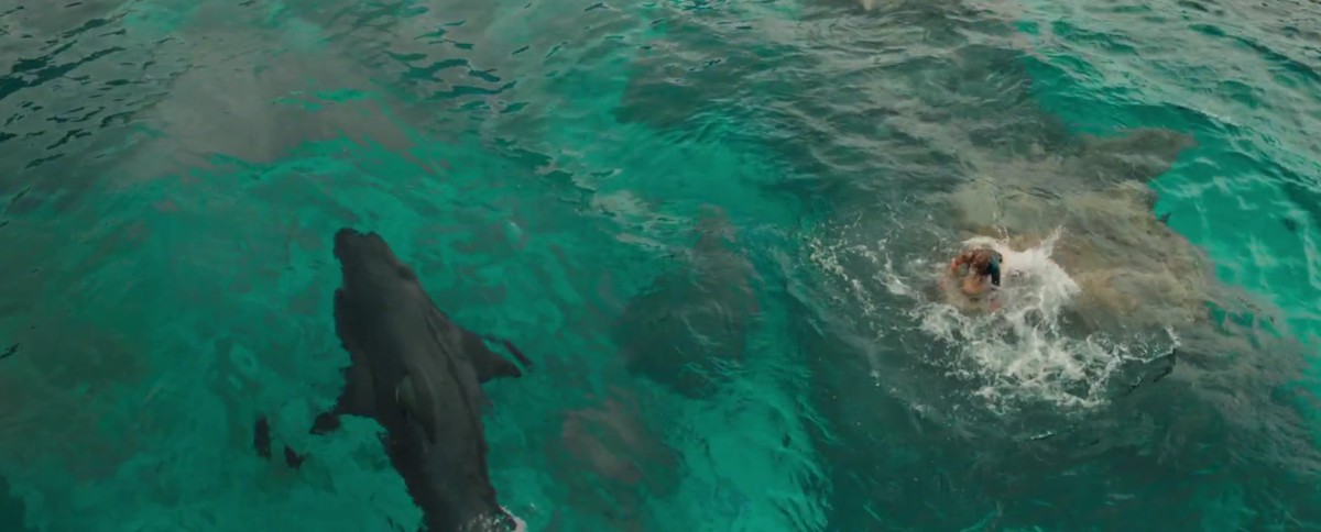 The Shallows (aka Blake Lively Vs A Shark) gets a new trailer!